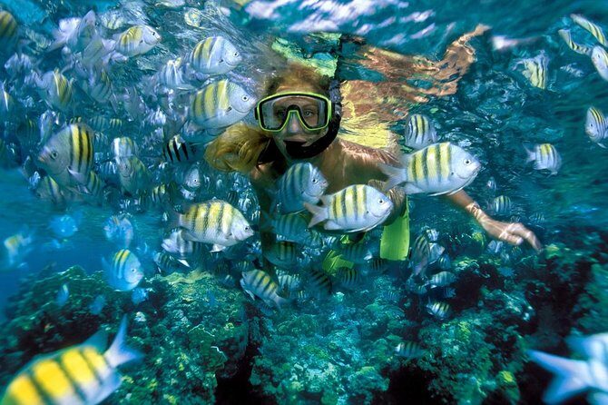 Snorkeling Adventure in Isla Mujeres - FAQ