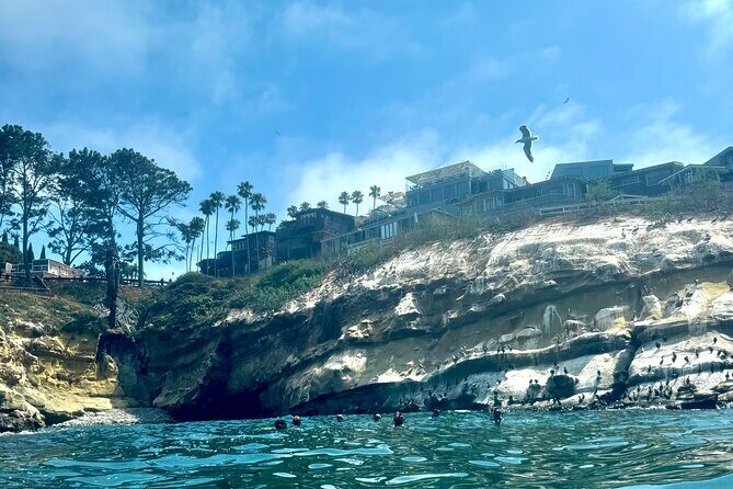Snorkeling Adventure in La Jolla - Who Should Consider This Tour?