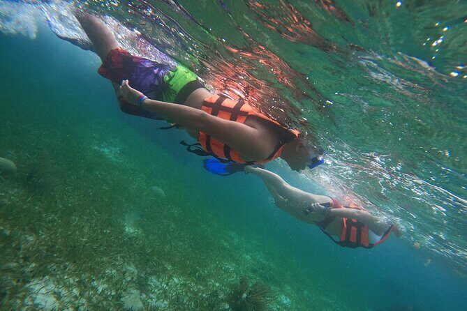 Snorkeling Adventure in Puerto Morelos Includes snack, Water and Round Trip. - Analyzing the Value: What You’re Paying For