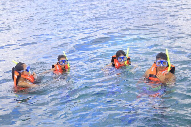 Snorkeling Adventure in Puerto Morelos Includes snack, Water and Round Trip. - Final Thoughts