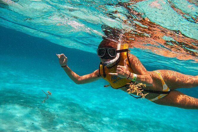 Snorkeling Adventure in Tulum Beach, Kaan Luum Lagoon and Cenote - A Closer Look at the Itinerary