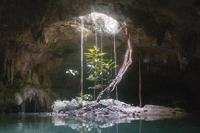 Snorkeling Adventure Tour Reef & Cenote - FAQ