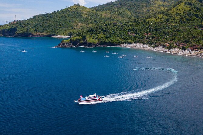 Snorkeling Adventure with East Nusa Penida Tour All Inclusive - Who Would Love This Tour?