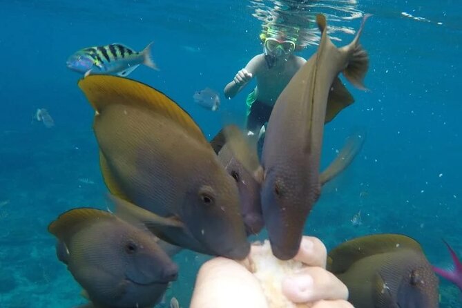 Snorkeling Adventure with East Nusa Penida Tour All Inclusive - FAQ