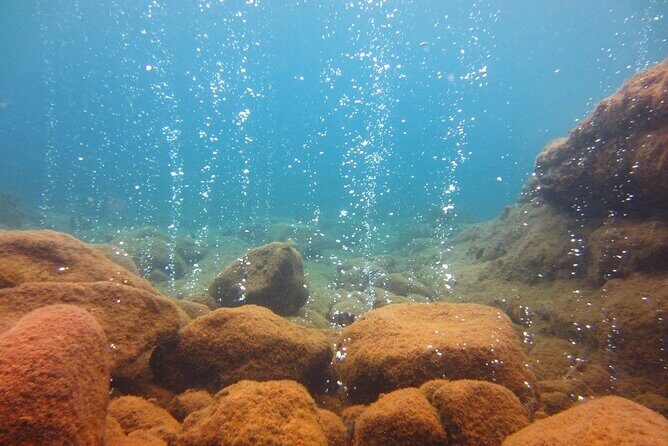 Snorkeling Adventure with Guide - Authenticity and Value