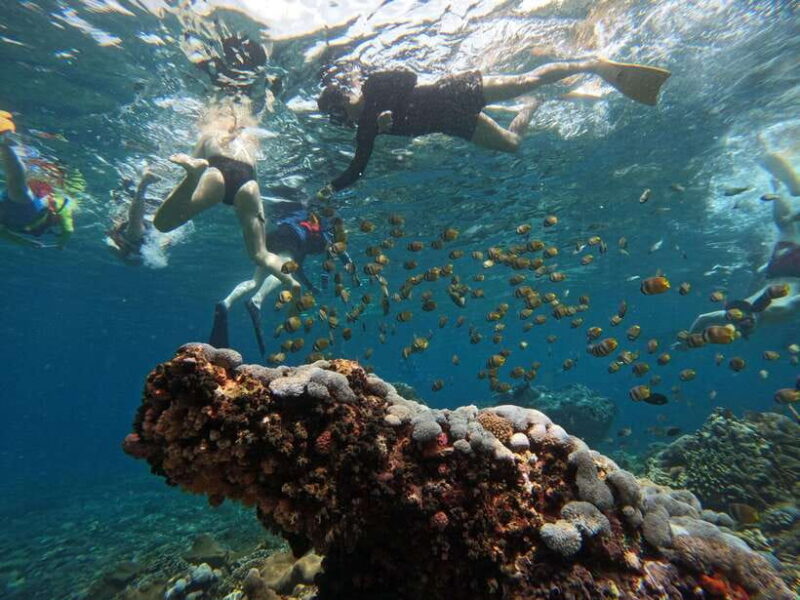 Snorkeling Adventure with Lucky Snorkeling - The Small Group Advantage