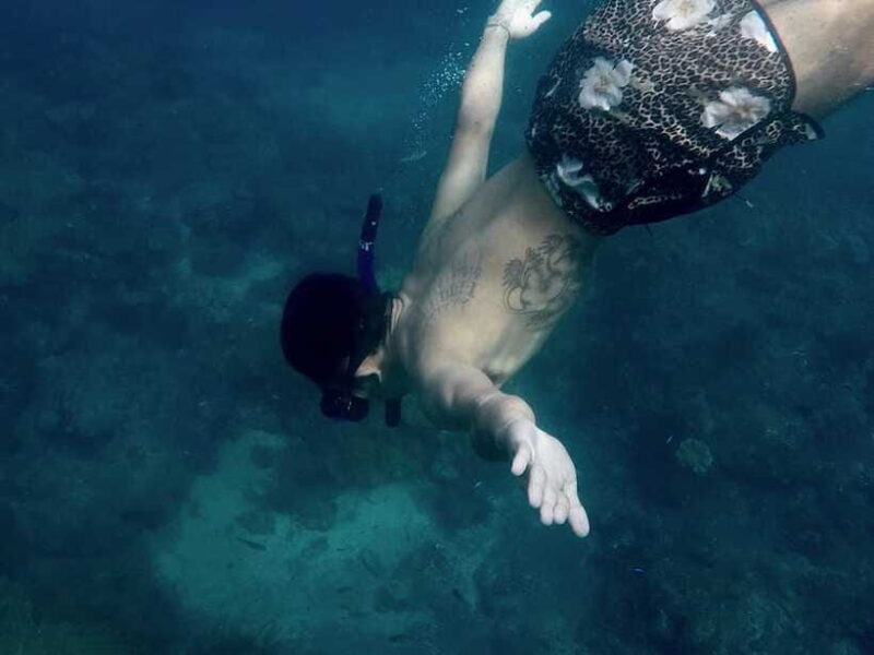 Snorkeling Adventure with Lucky Snorkeling - The Realities of the Experience