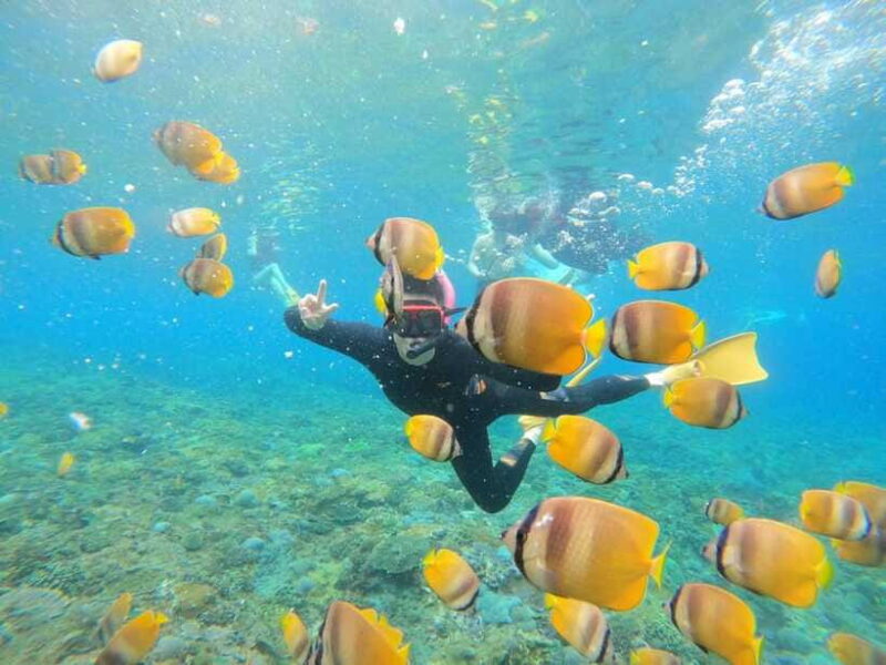 Snorkeling Adventure with Lucky Snorkeling - Why Choose This Tour?