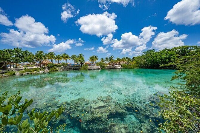 Snorkeling Adventure with Lunch and Tequila Tour - What to Expect from the Snorkeling Adventure with Lunch and Tequila Tour