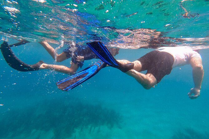 Snorkeling Aguadilla for Families with Children - Value and Pricing