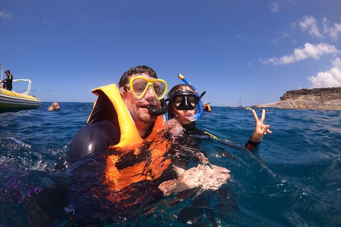 Snorkeling and Boat Tour in a Turtle Area - Discovering the Natural Habitat of Turtles