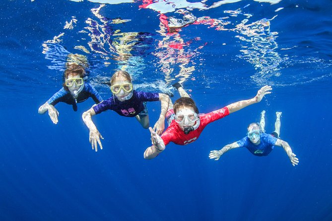 Snorkeling and Boat trip in Crete with free certification! - Introduction