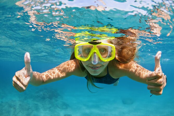 Snorkeling and Dolphin Watching Experience in Destin - Booking Information
