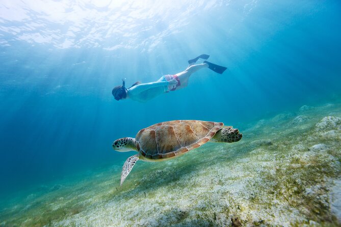 Snorkeling and Dolphin Watching Experience in Destin - Customer Reviews and Feedback
