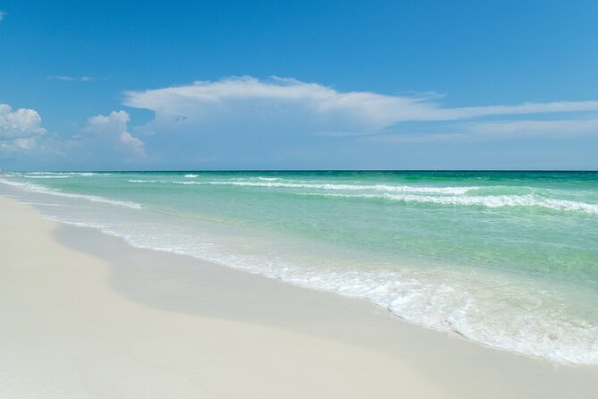 Snorkeling and Dolphin Watching Experience in Destin - Meeting Point and Accessibility