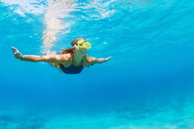 Snorkeling and Dolphin Watching Experience in Destin - Included Amenities and Refreshments