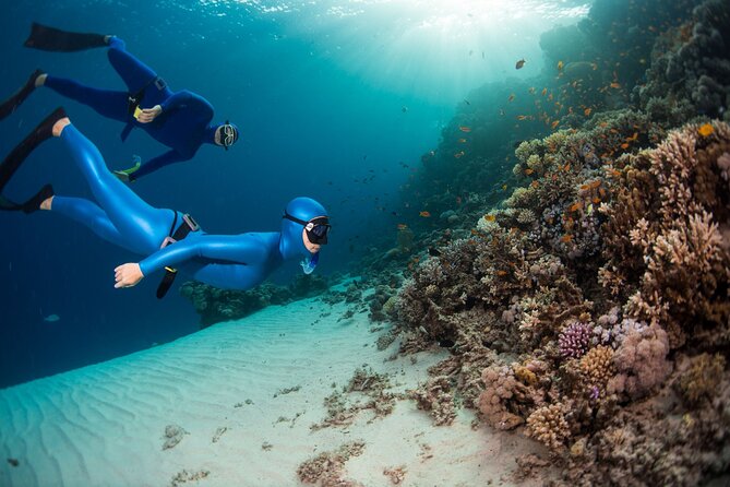 Snorkeling and Freediving Trip around Nusa Penida - Authentic Experiences and Practical Details