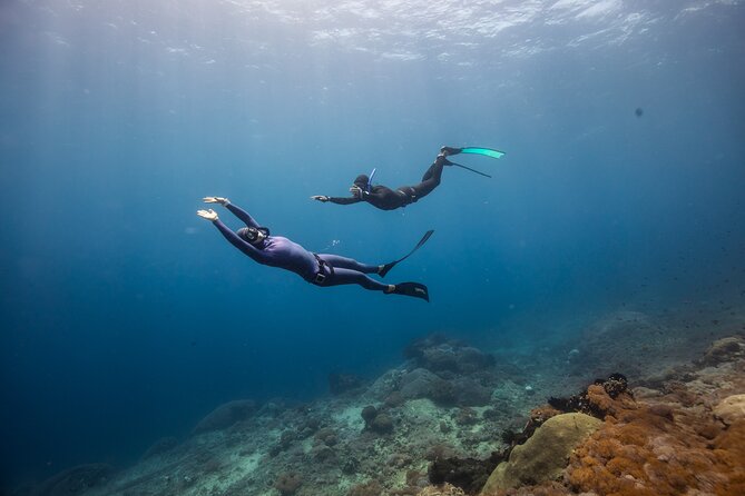 Snorkeling and Freediving Trip around Nusa Penida - Who Will Love This Tour?