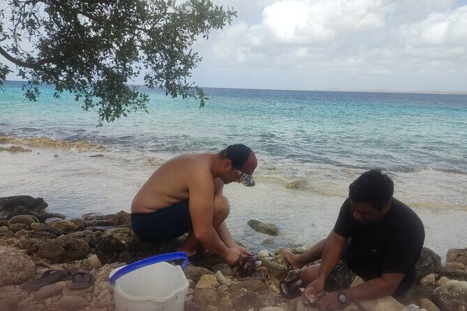 Snorkeling and Grilling Fresh Fish at Donkey Beach - FAQ