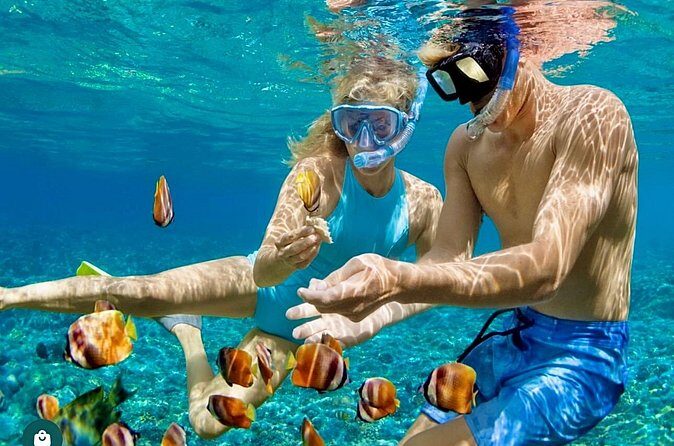 Snorkeling and Shopping in Montego Bay with Hotel pickup - Final Thoughts: Who Should Consider This Tour?