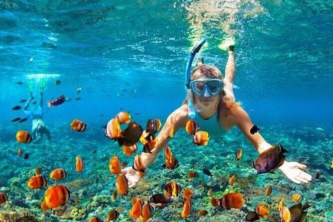 Snorkeling and Shopping Tour in Montego Bay with pick up - Introduction