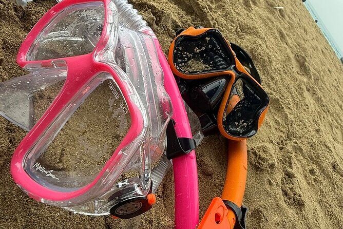 Snorkeling and Sightseeing Tour Explore Puerto Rico Marine Life - An In-Depth Look at the Tour