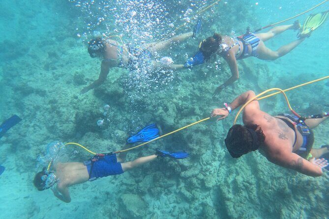 Snorkeling and Snuba Diving in Punta Cana - Transportation, Group Size, and Timing