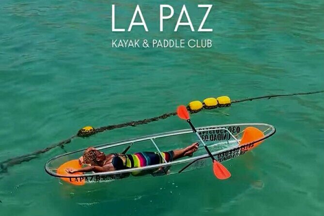 Snorkeling and Sunset Kayaking in La Paz - Authentic Feedback and Insights