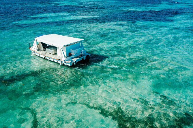 Snorkeling and Swimming on a Caribbean Cruise by Sharky Catamarans - FAQ