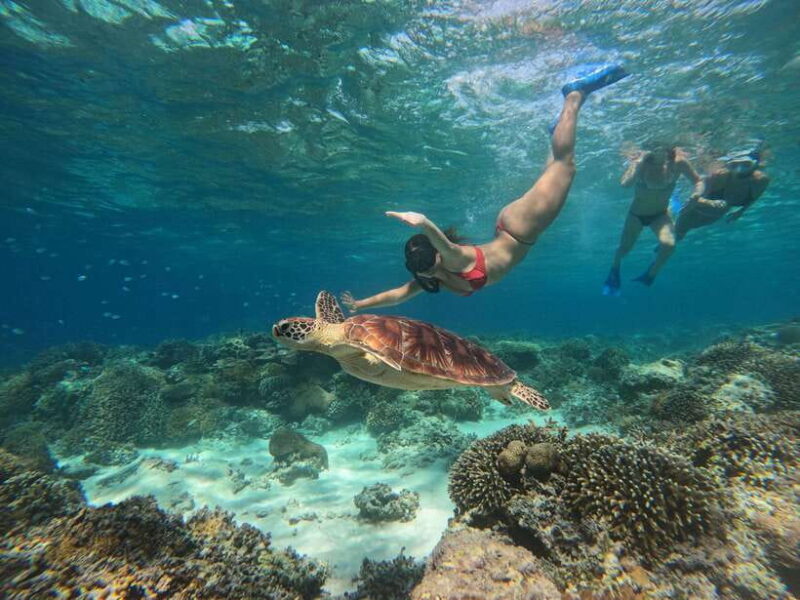 Snorkeling around 3 island & turtle sanctuary - What Makes This Tour Stand Out