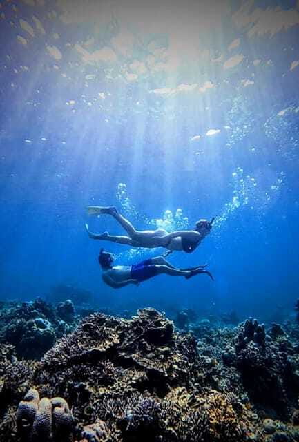 Snorkeling around 3 island & turtle sanctuary - Practical Tips for Snorkeling Around Gili Islands
