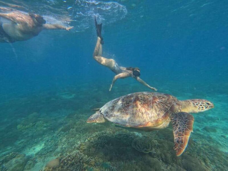 Snorkeling around 3 island & turtle sanctuary - Who Should Consider This Experience?