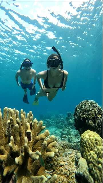 Snorkeling around 3 island & turtle sanctuary - Final Thoughts