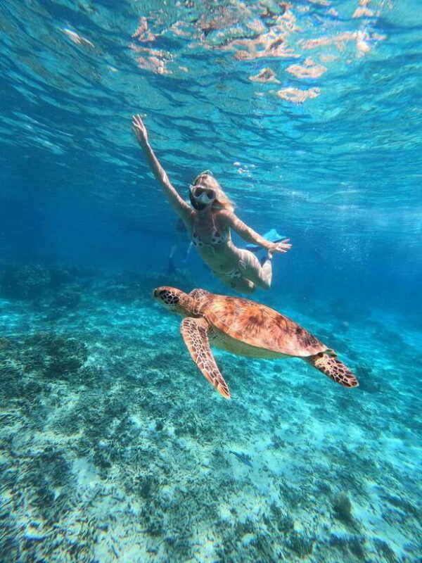 Snorkeling around 3 island & turtle sanctuary - FAQ