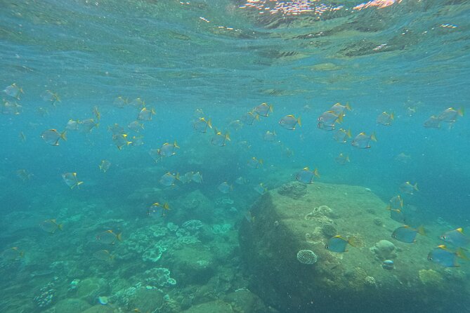 Snorkeling at Angel Rock - Practical Tips for Your Snorkeling Adventure