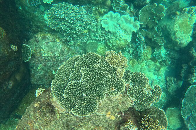 Snorkeling at Angel Rock - FAQ