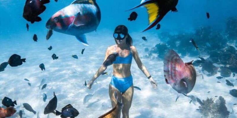 Snorkeling at Blue Lagoon And Waterfall - All inclusive - Key Points