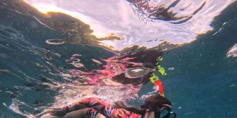 Snorkeling at Blue Lagoon And Waterfall - All inclusive - What to Expect: An Overview of the Day