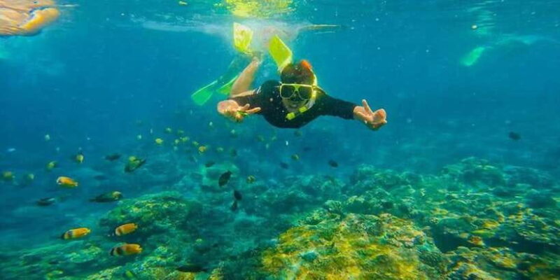 Snorkeling at Blue Lagoon And Waterfall - All inclusive - In-Depth Look at the Itinerary