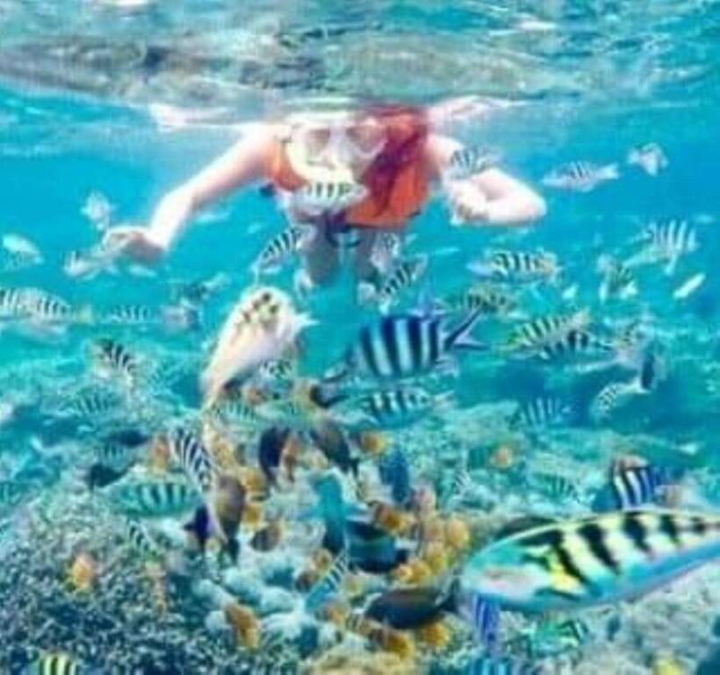 SNORKELING AT BLUELAGOON SPOT - Introduction: A Solid Choice for Ocean Lovers