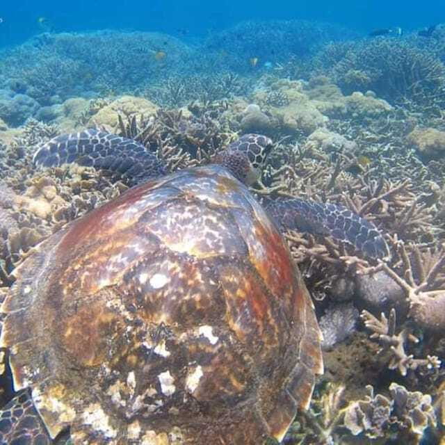 SNORKELING AT BLUELAGOON SPOT - The Value of the Tour: Price and Quality