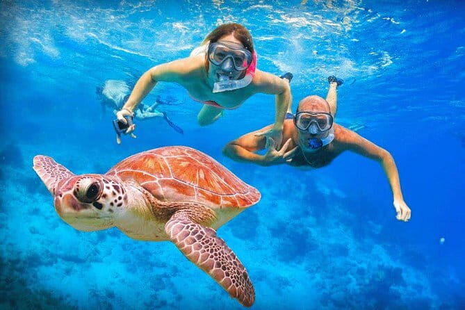 Snorkeling at Hikkaduwa - In-Depth Review of the Snorkeling Experience