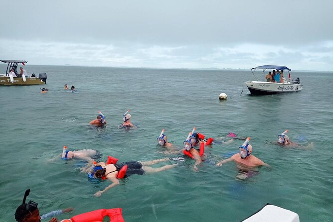 Snorkeling at Hol Chan Marine Reserve & Shark Ray Alley (3.0 Hrs) - Additional Information