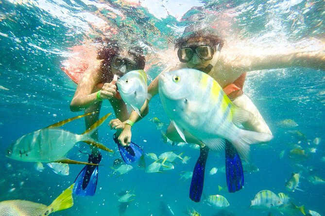 Snorkeling at Pelicans Rock - Who Would Enjoy This Tour?