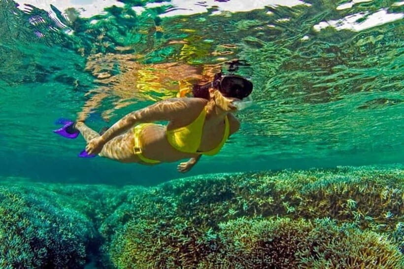 Snorkeling at Pigeon Island Trincomalee - Setting the Scene: The Location and Its Appeal
