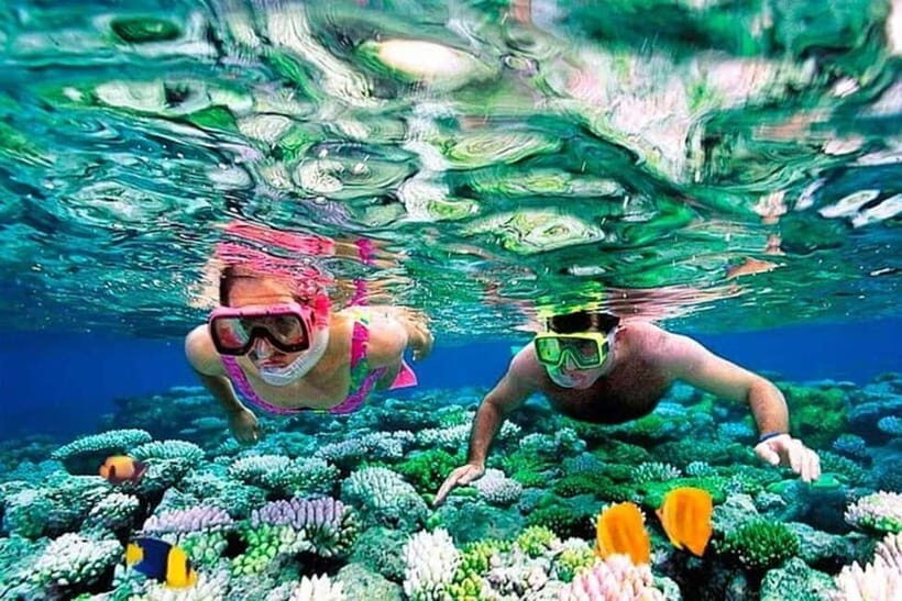 Snorkeling at Pigeon Island Trincomalee - What You’ll See and Experience