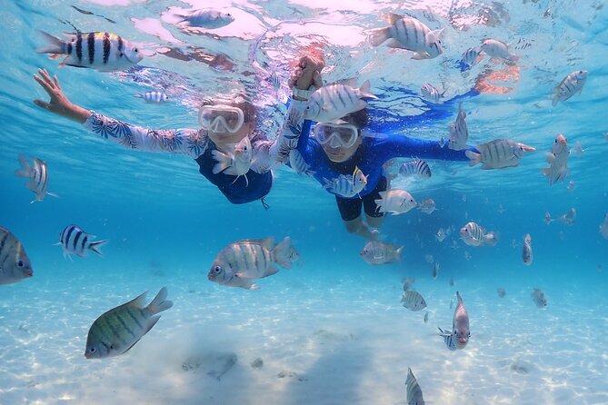 Snorkeling Blue Lagoon with lunch & waterfall - What Makes This Tour Stand Out?