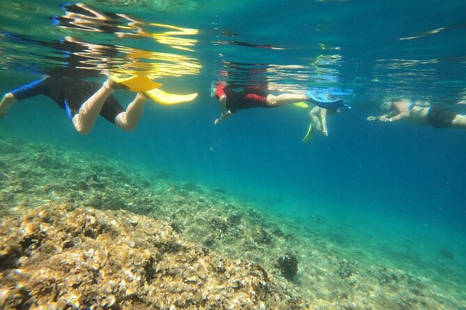 Snorkeling Boat Excursions in Nea Makri Athens - Booking and Cancellation Policies