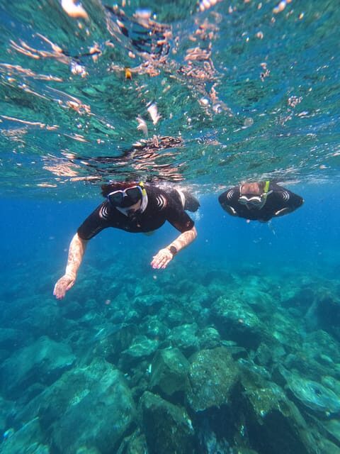 Snorkeling Boat Trip in Marine Turtles Natural Habitat - Key Points