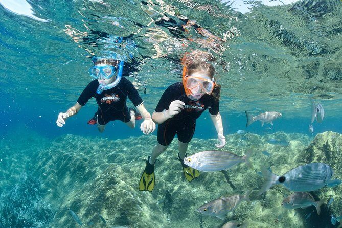 Snorkeling - By boat on site in the Bay of Cannes or Estérel - A Detailed Look at the Experience